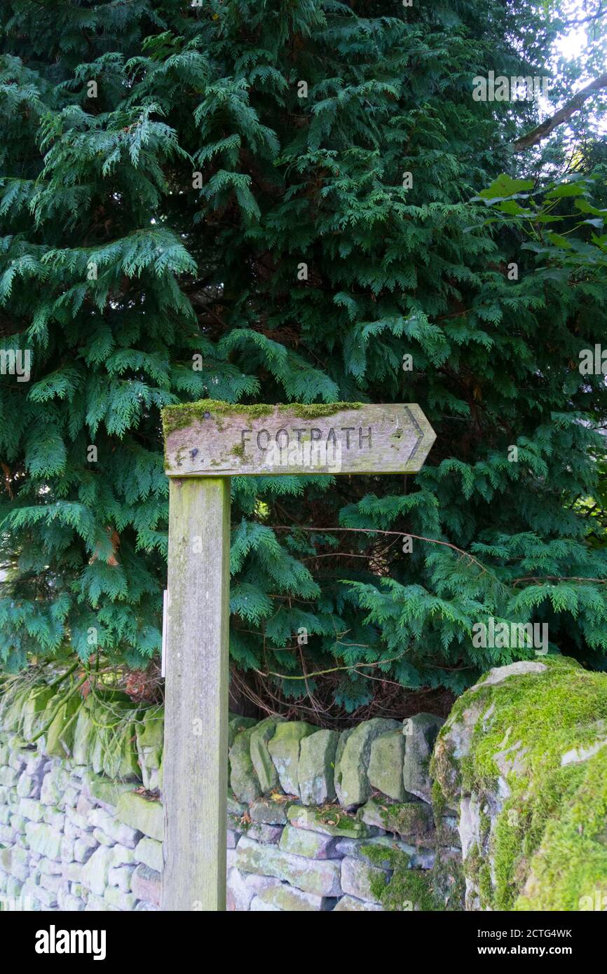 Covered with moss hi-res stock photography and images - Alamy