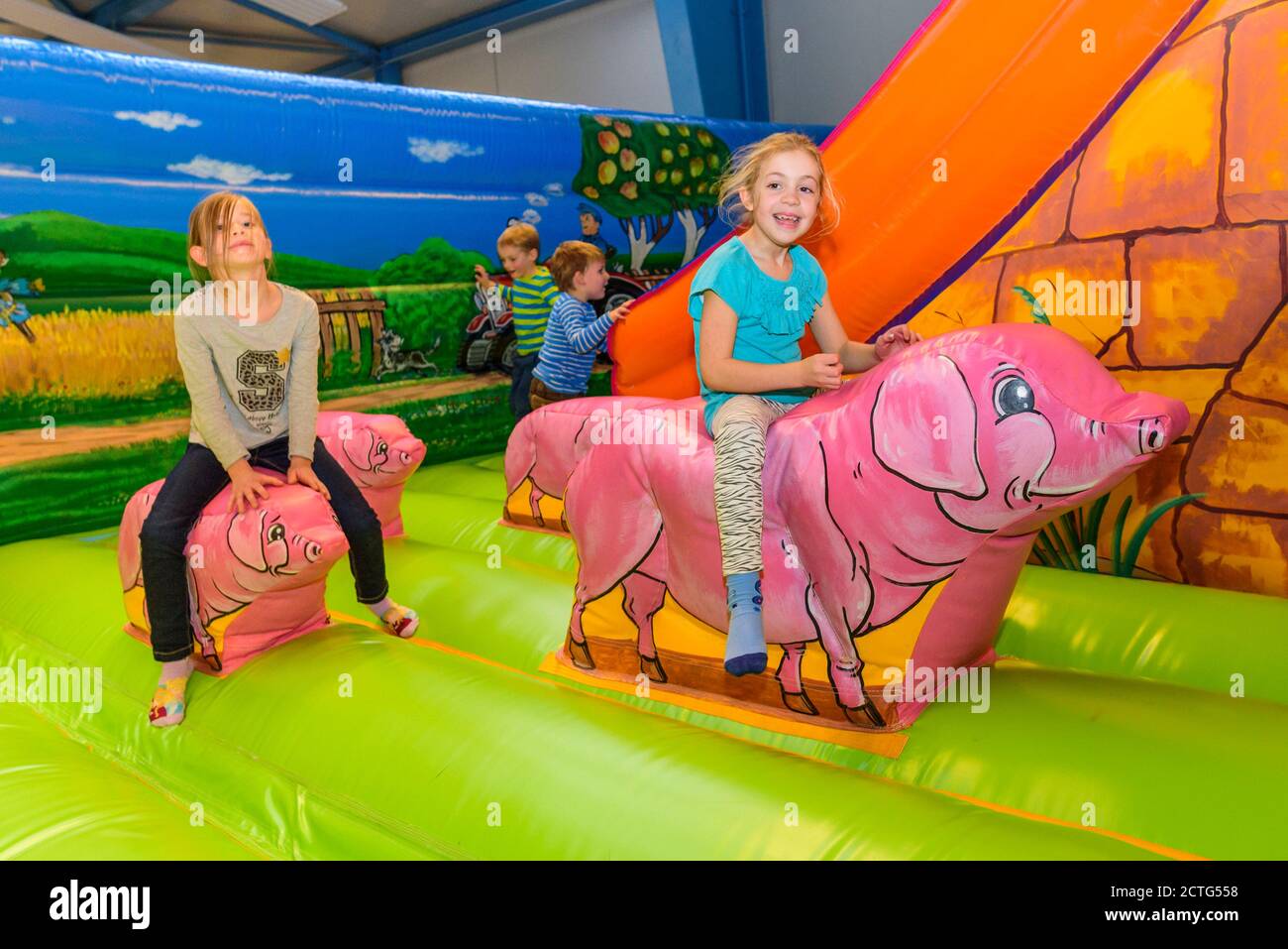 Animal Playground High Resolution Stock Photography and Images - Alamy