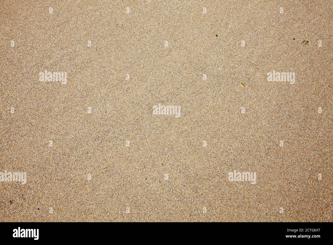 Beach coastline sand background texture from a sandy seaside coast ...