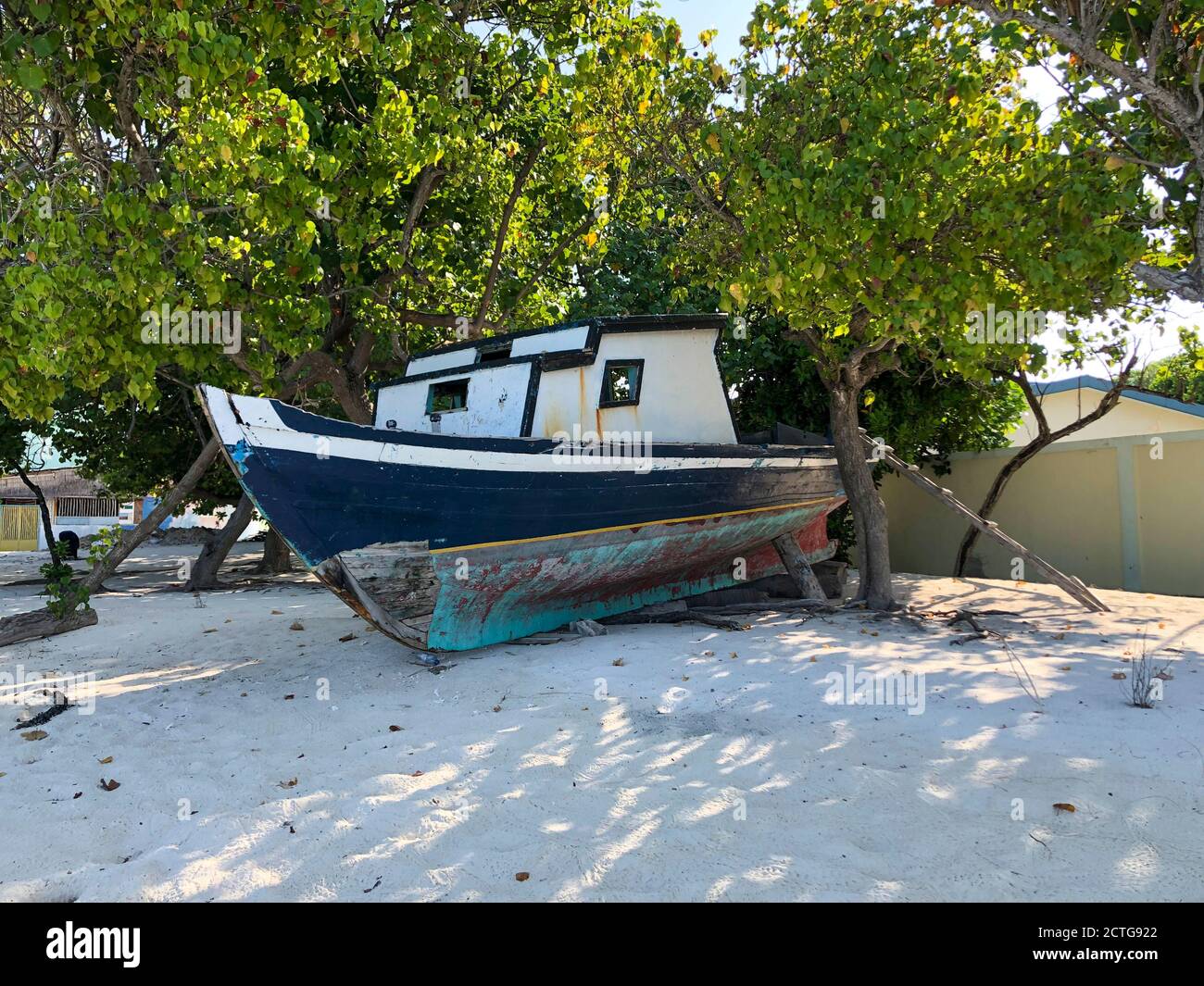 Beached abandoned old fishing boat between trees Stock Photo - Alamy