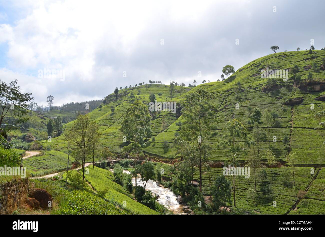 Aerial shot of a hilly green landscape with some trees and a big ...