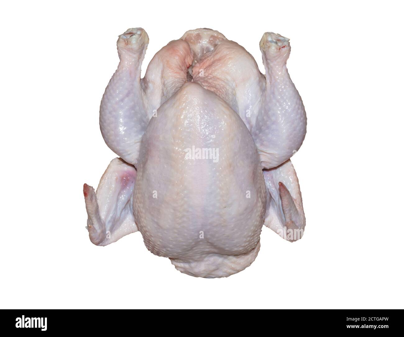 A top close-up shot of a whole chicken on white background. Isolated ...