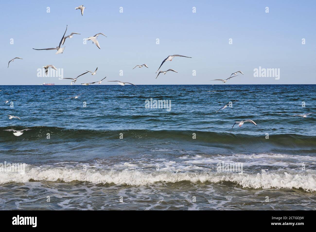 Seagulls flying over beach hi-res stock photography and images - Alamy