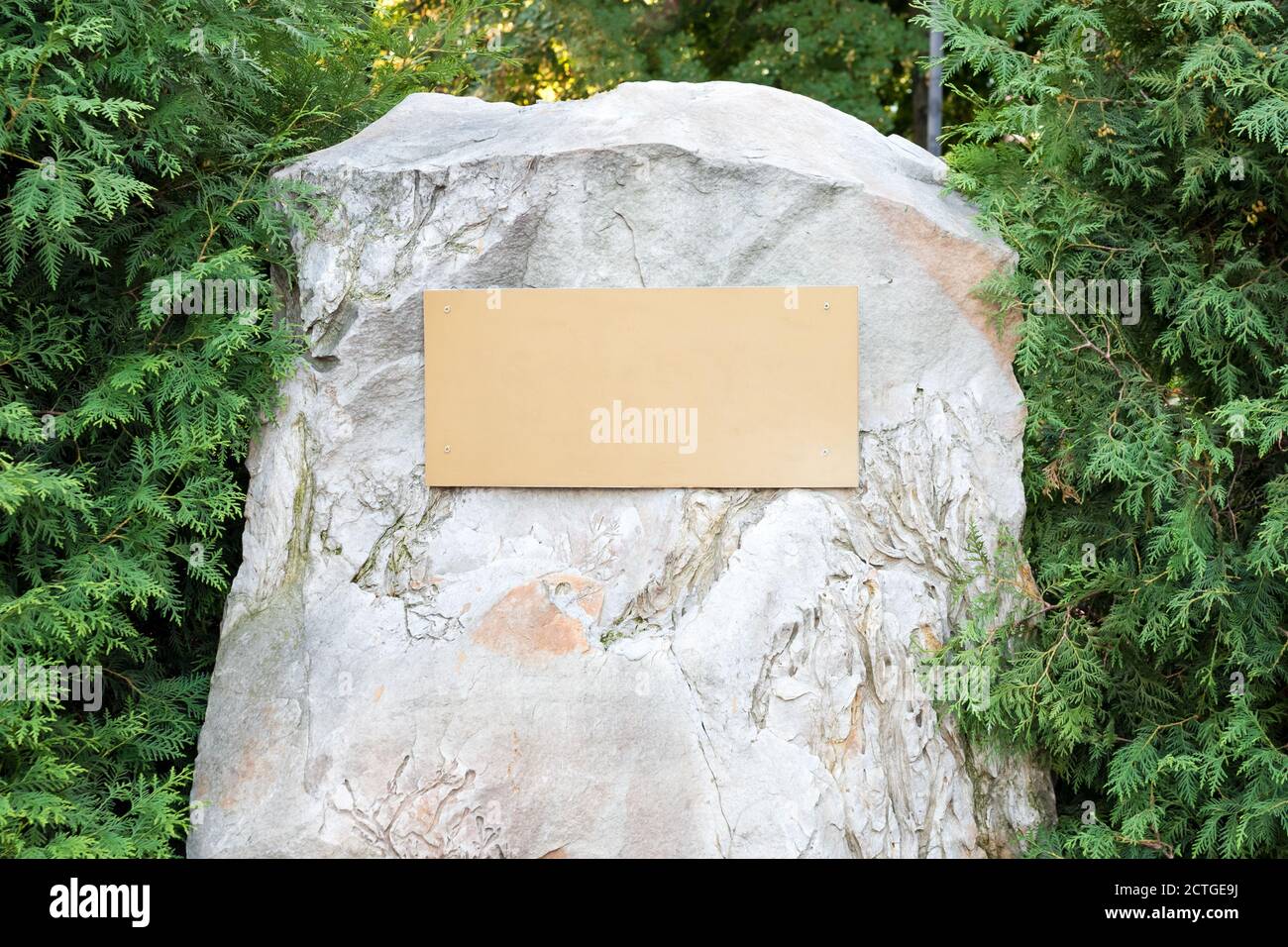 Blank plaque on the stone. Bronze memorial plaque in the park. Empty ...