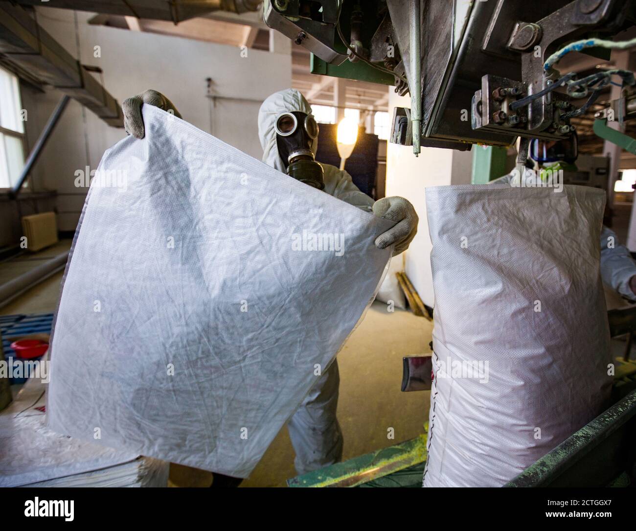 Oil refinery plant. Packing yellow sulfur in plastic bags. Unsafe work ...