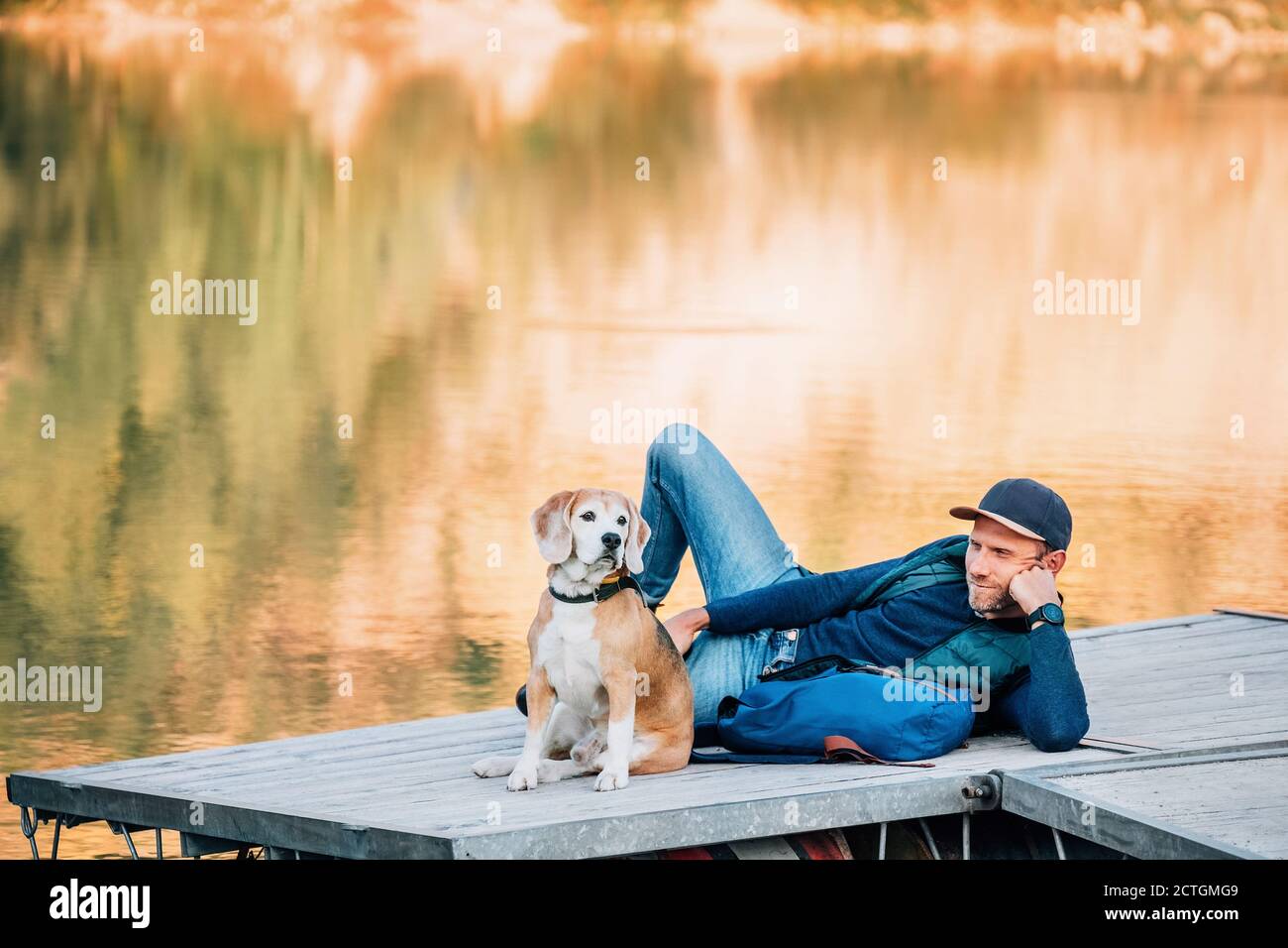 Cheerful man walking beagle dog hi-res stock photography and images - Alamy
