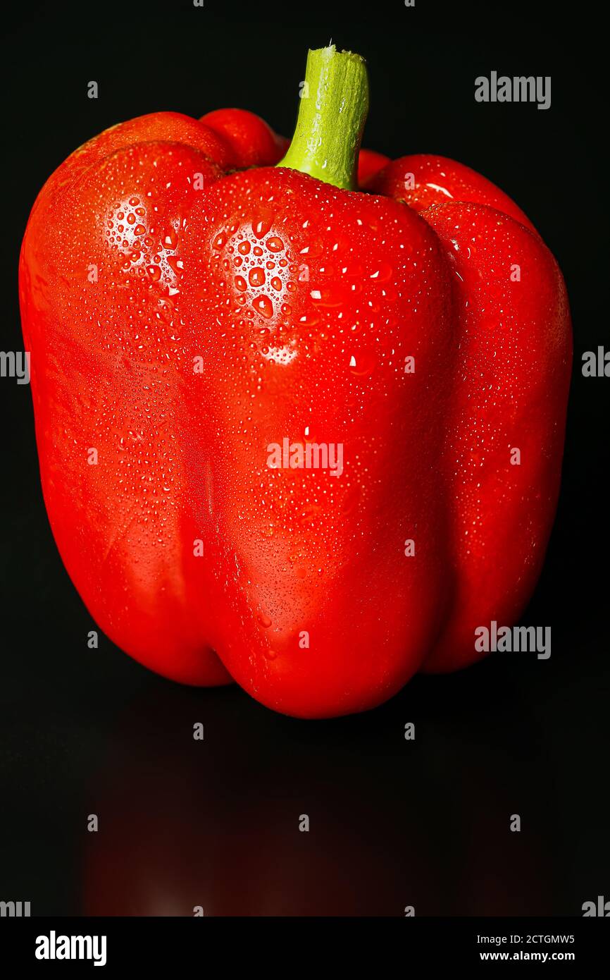 Fresh red capsicum pepper on black background with water drops Stock ...