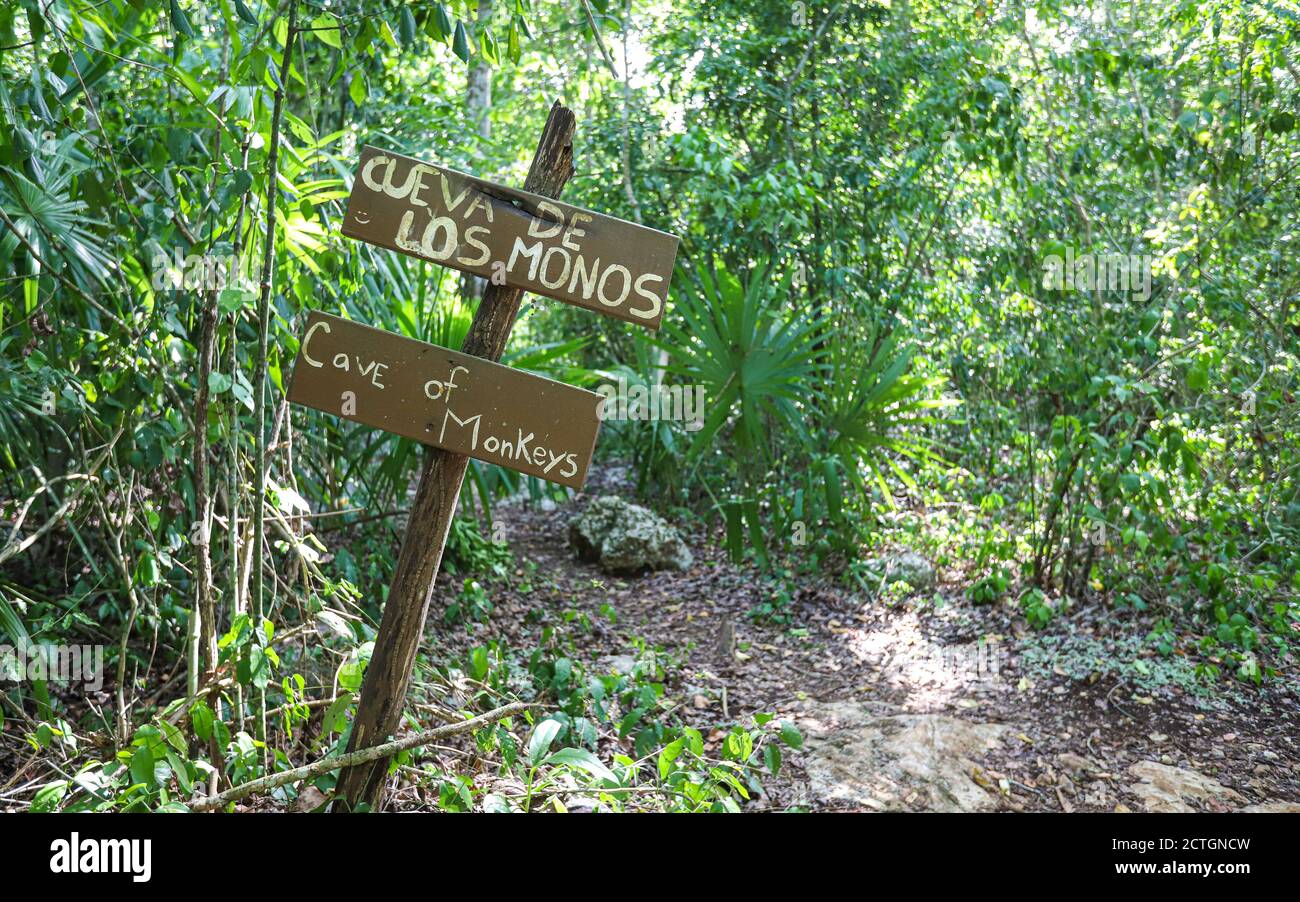 PUNTA LAGUNA, MEXICO, MEXICO - May 31, 2019: Signs along the trail ...