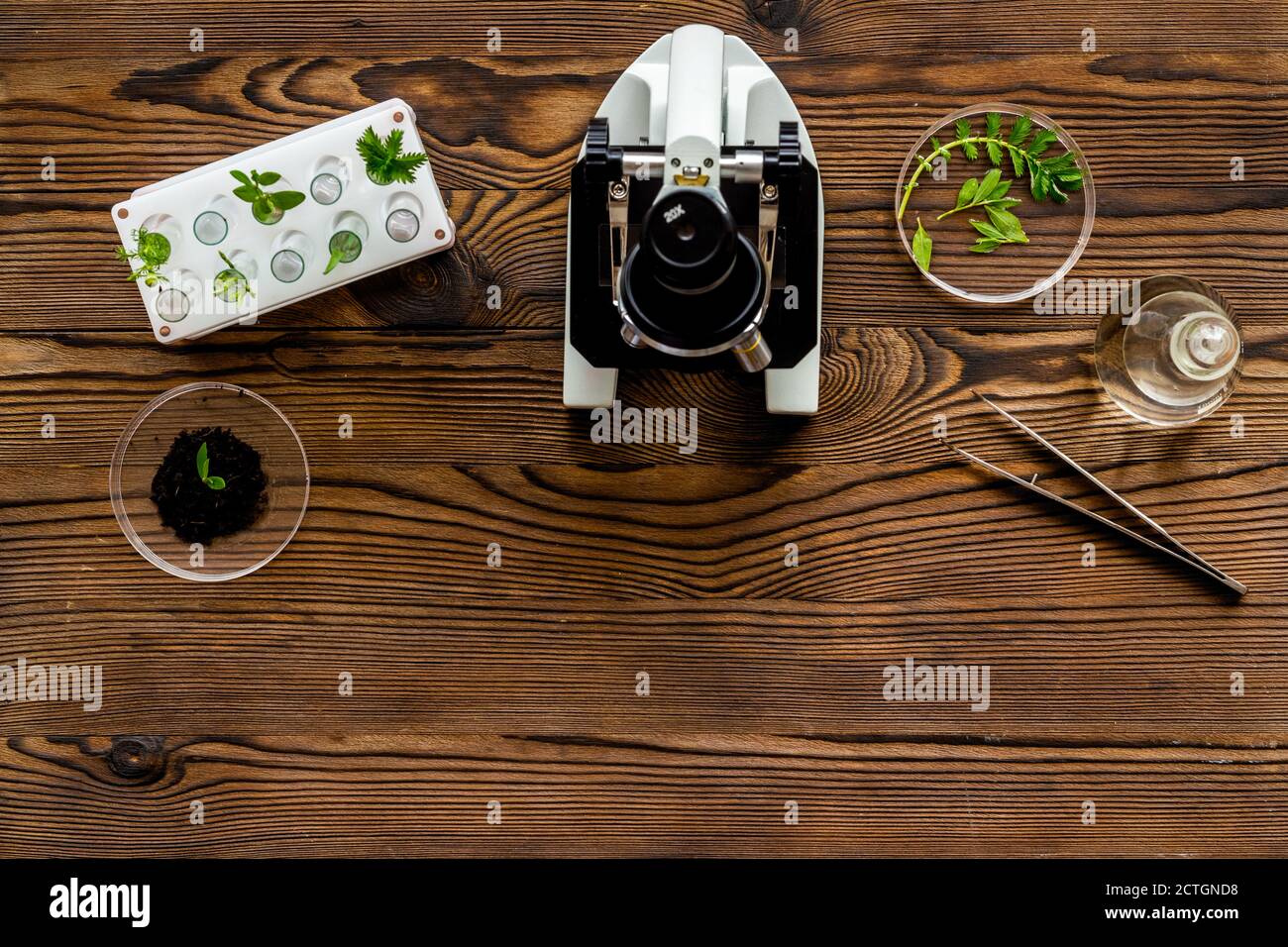 Testing plants and soil in biological laboratory Stock Photo - Alamy