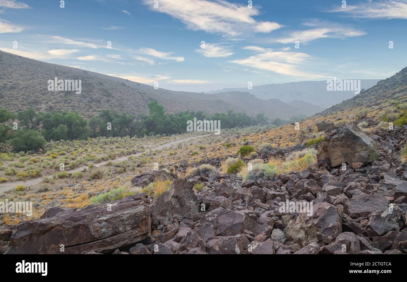 Lagomarsino petroglyphs hi-res stock photography and images - Alamy