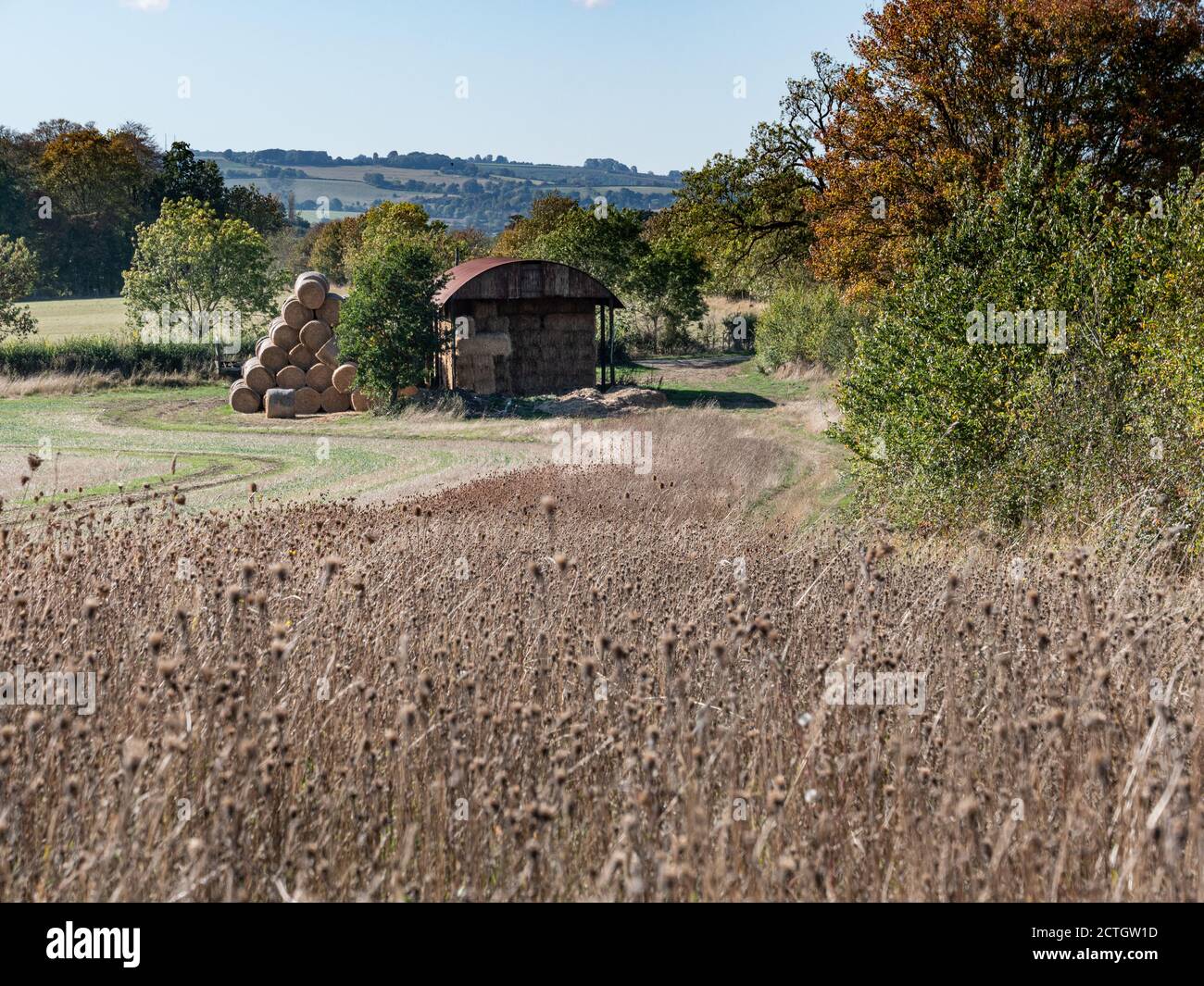 Open sided barn hi-res stock photography and images - Alamy