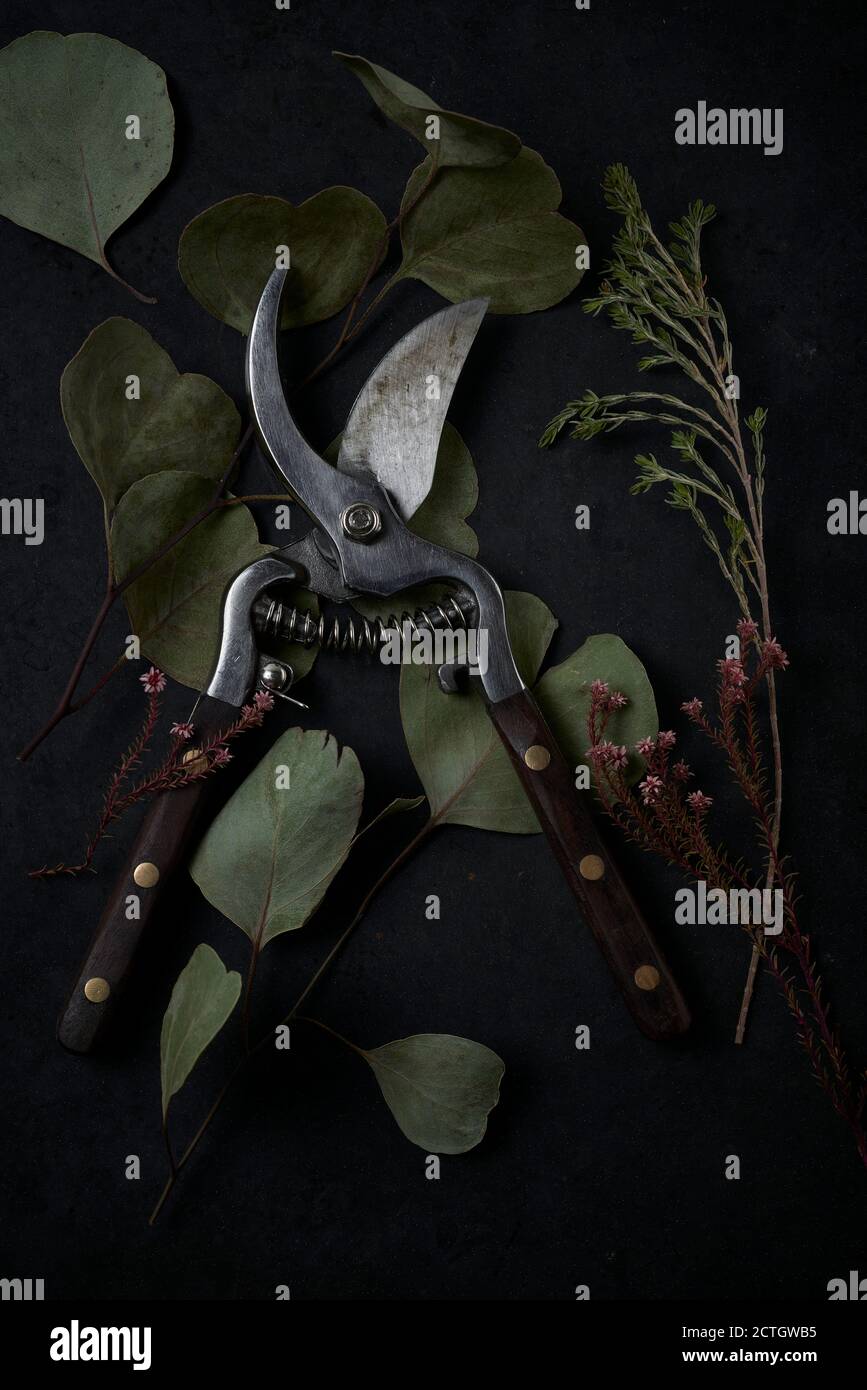 Gardening Tools Still Life Stock Photo - Alamy