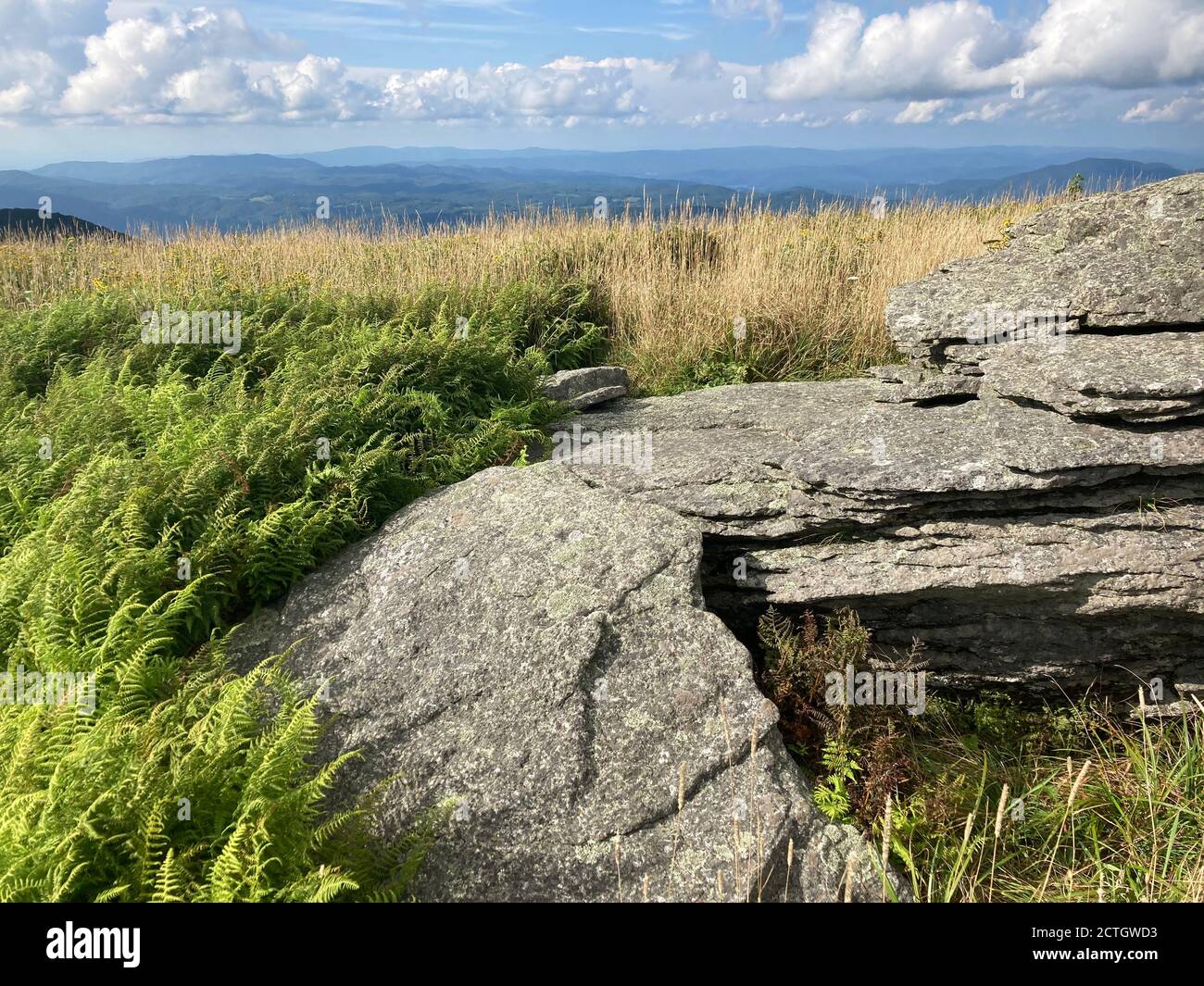 Rocks and ferns along Appalachian National Scenic Trail on the north ...