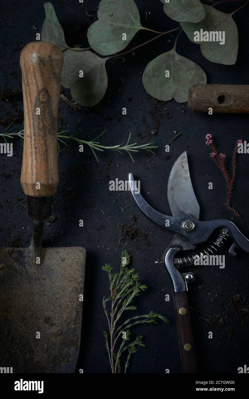 Gardening Tools Still Life Stock Photo - Alamy