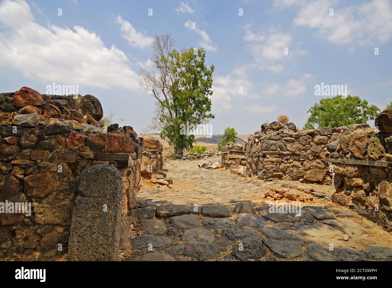 Israel, Sea of Galilee, The ruins of the fishing village at Capernaum ...