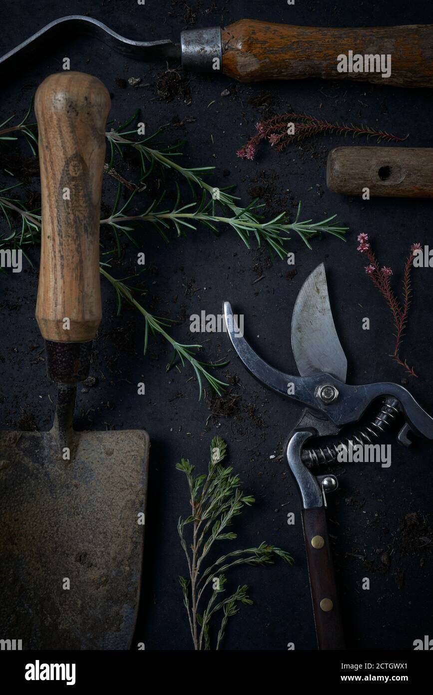 Gardening tools still life hi-res stock photography and images - Alamy
