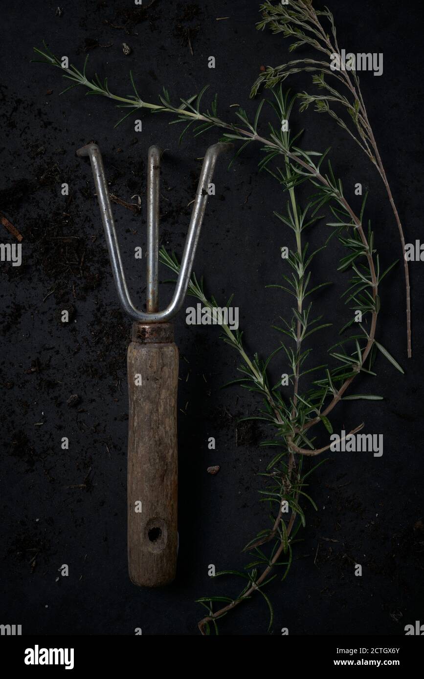 Gardening Tools Still Life Stock Photo - Alamy
