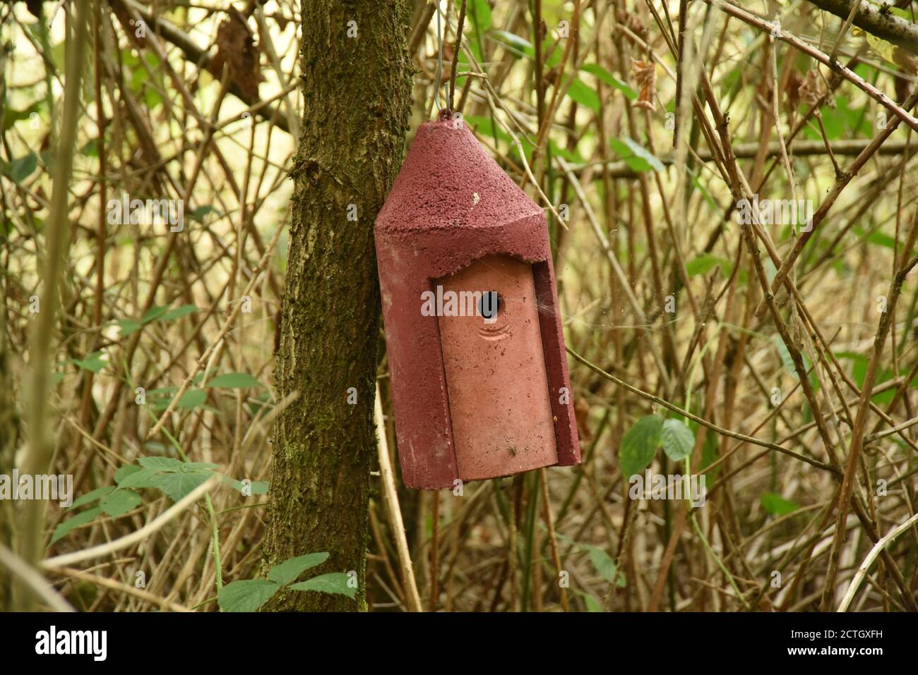 Terracotta Bee Hotel High Resolution Stock Photography and Images - Alamy