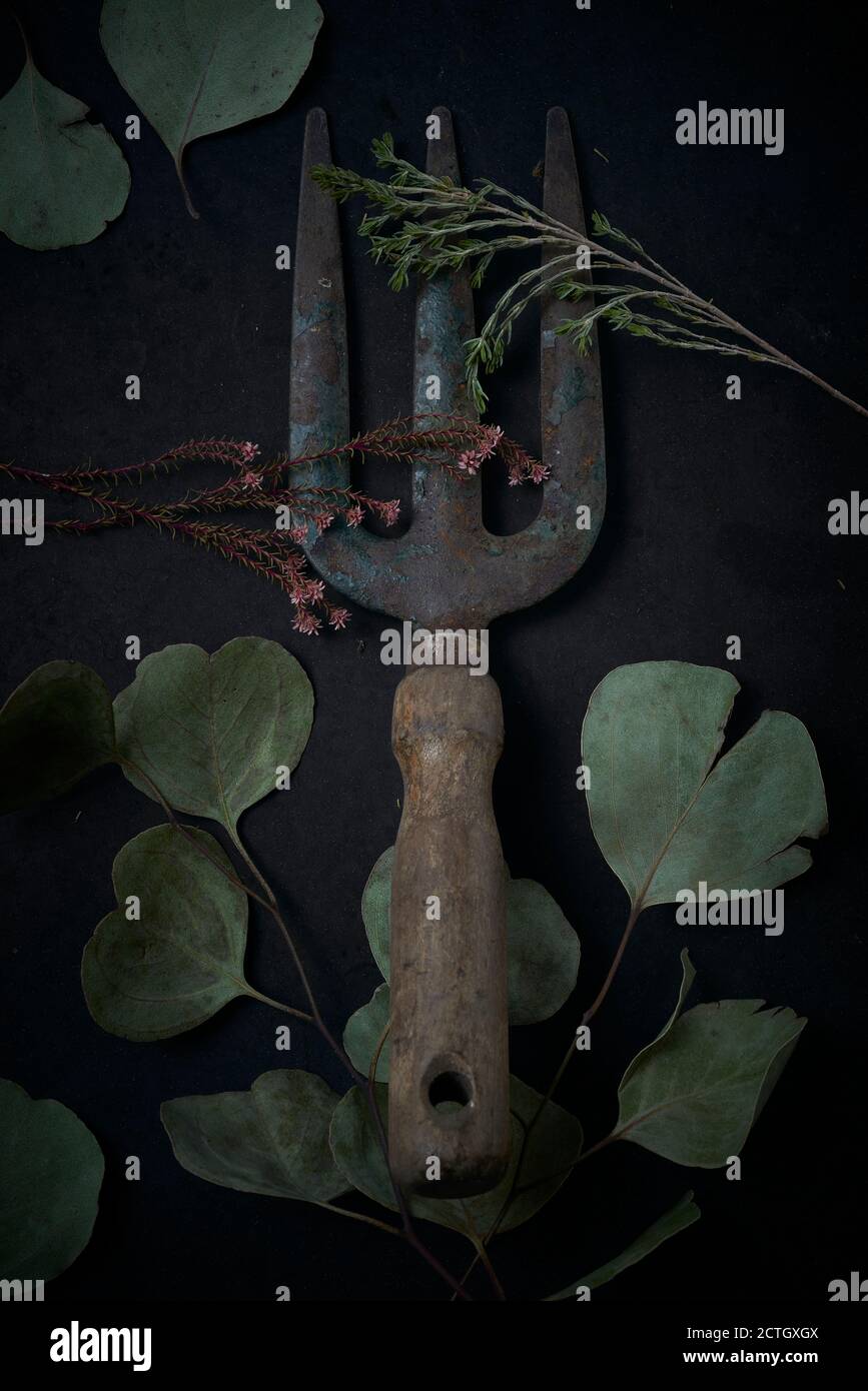 Gardening Tools Still Life Stock Photo - Alamy