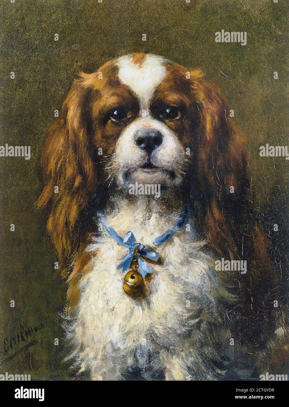 Dutch spaniel hi-res stock photography and images - Alamy