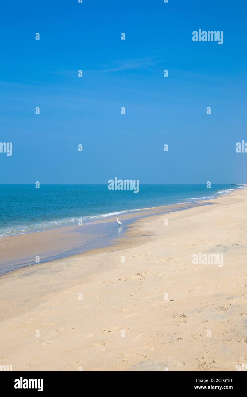 India, Kerala, Alleppey - Alappuzha, Marari Beach Stock Photo - Alamy