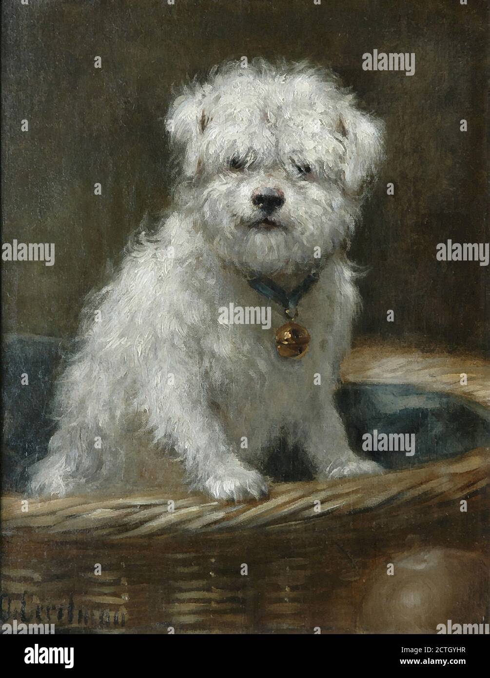 Eerelman Otto - Bichon in Een Mand - Dutch School - 19th Century Stock ...
