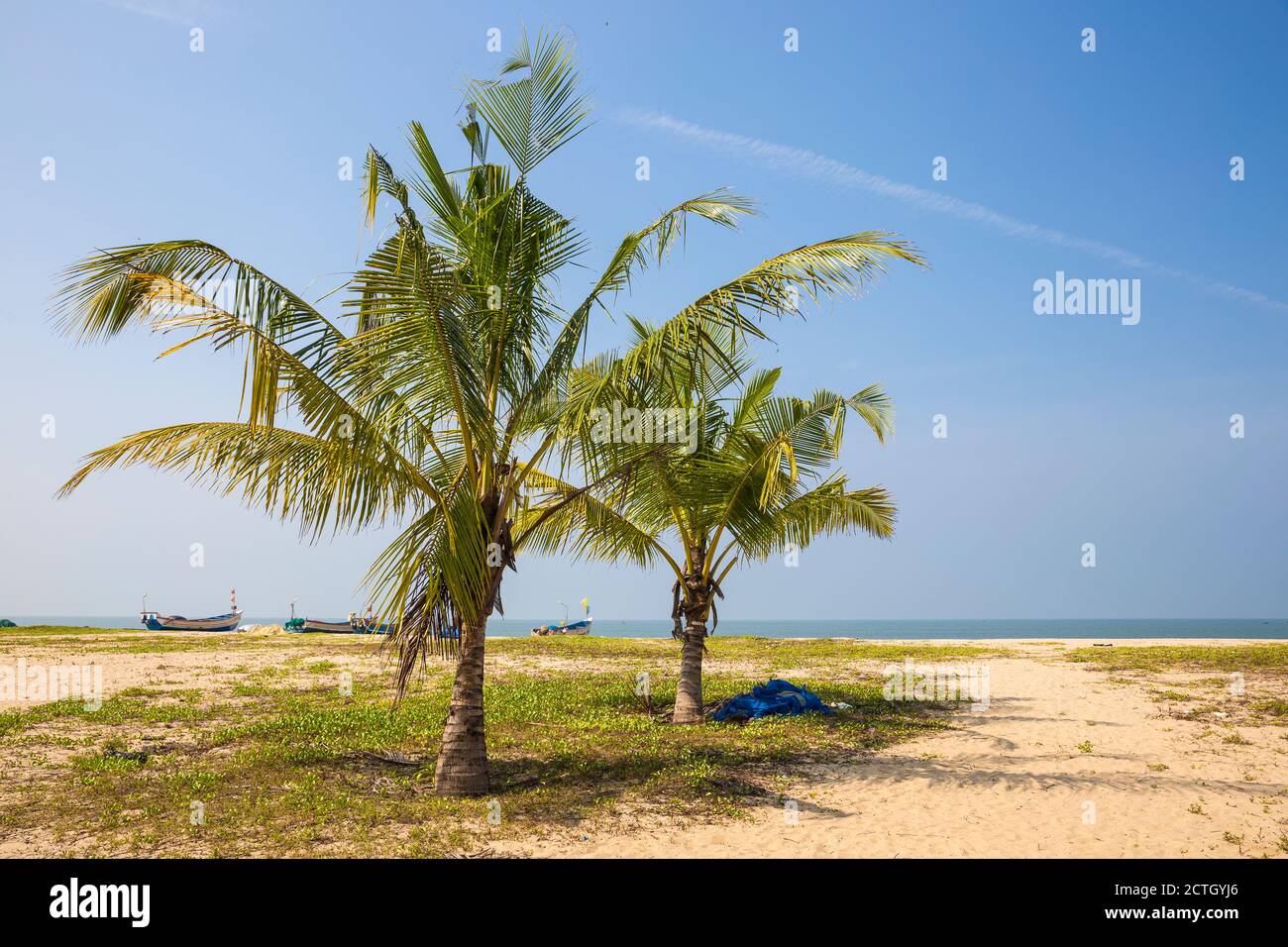 India, Kerala, Alleppey - Alappuzha, Marari Beach Stock Photo - Alamy