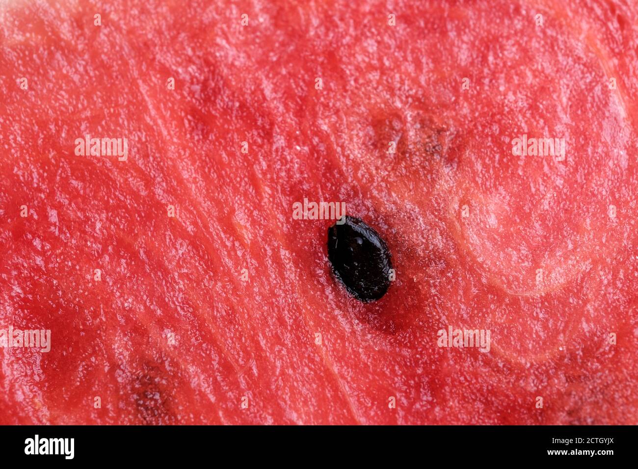 Watermelon macro hi-res stock photography and images - Alamy