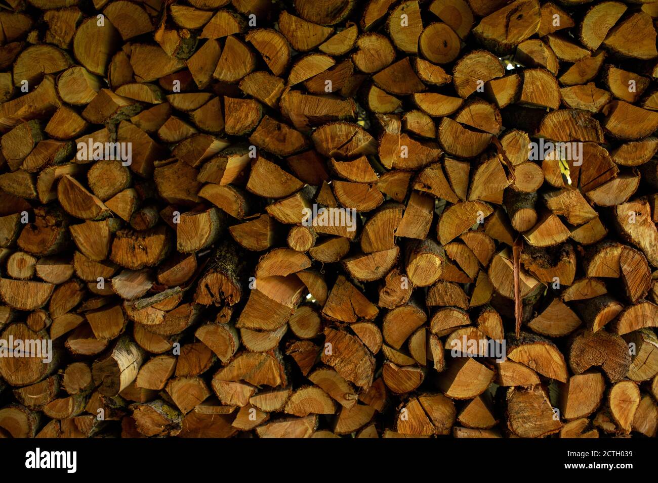 Stacked Logs Texture, Natural Background. chopped firewood stack Stock ...
