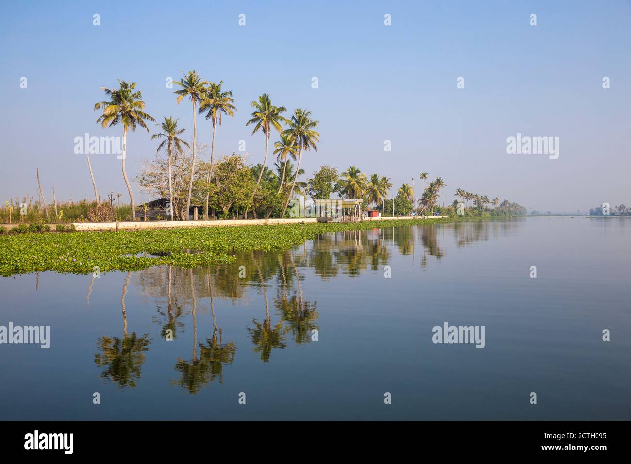 India, Kerala, Alappuzha (Alleppey), Backwaters Stock Photo - Alamy