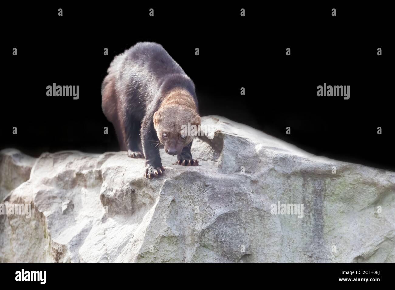 Eira Barbara High Resolution Stock Photography and Images - Alamy