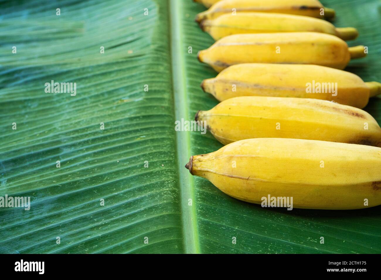 Flat lay layout of yellow bananas on a green banana leaf. Eco food ...