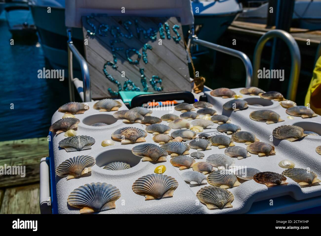 Kids selling sea shells near the ocean Stock Photo - Alamy