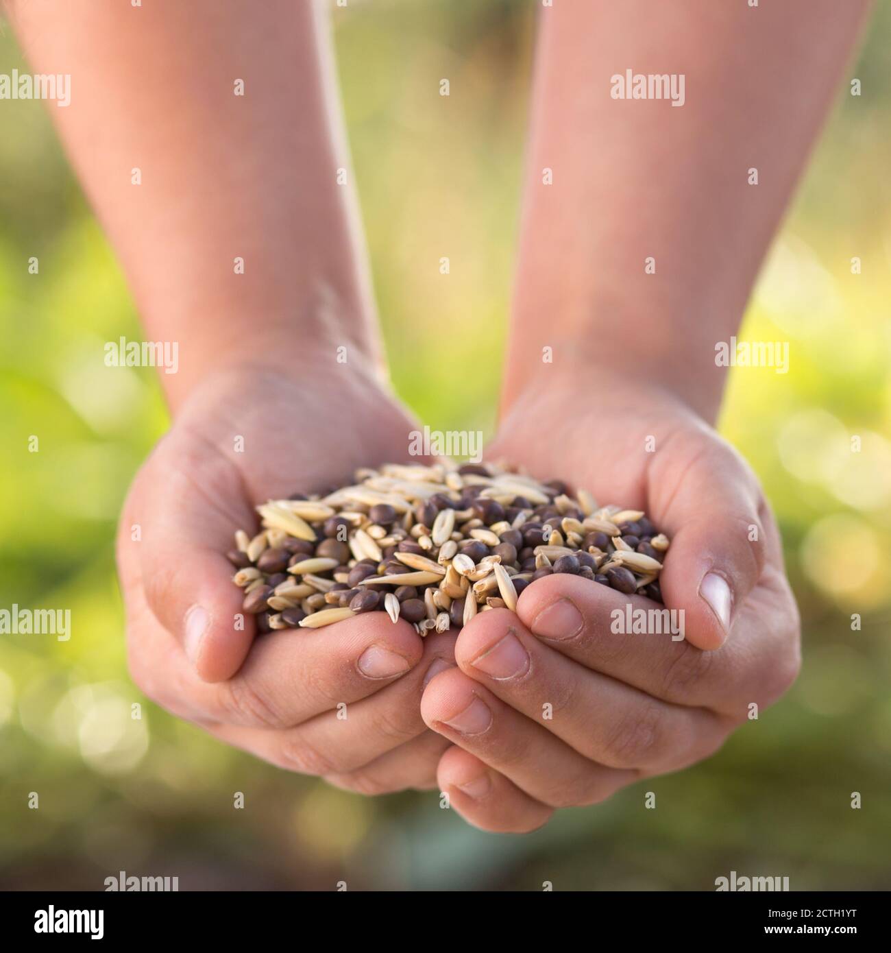 Children hands holding seeds on natural green background. Start ...