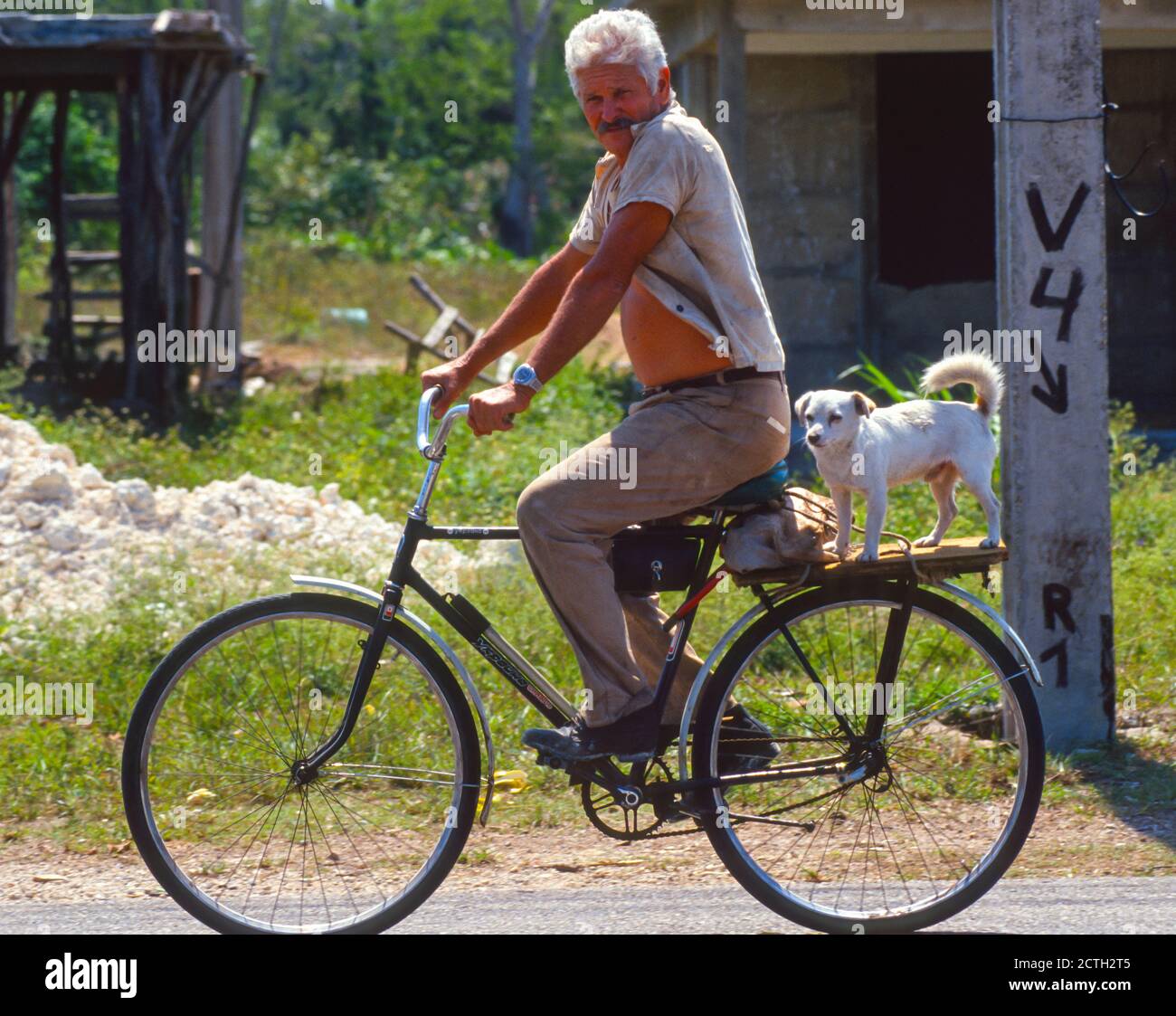 Palpite hi-res stock photography and images - Alamy