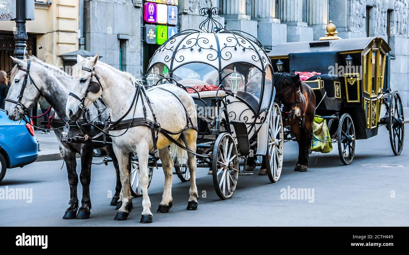 A carriage pulled by horses on city street. St. Petersburg, Russia ...