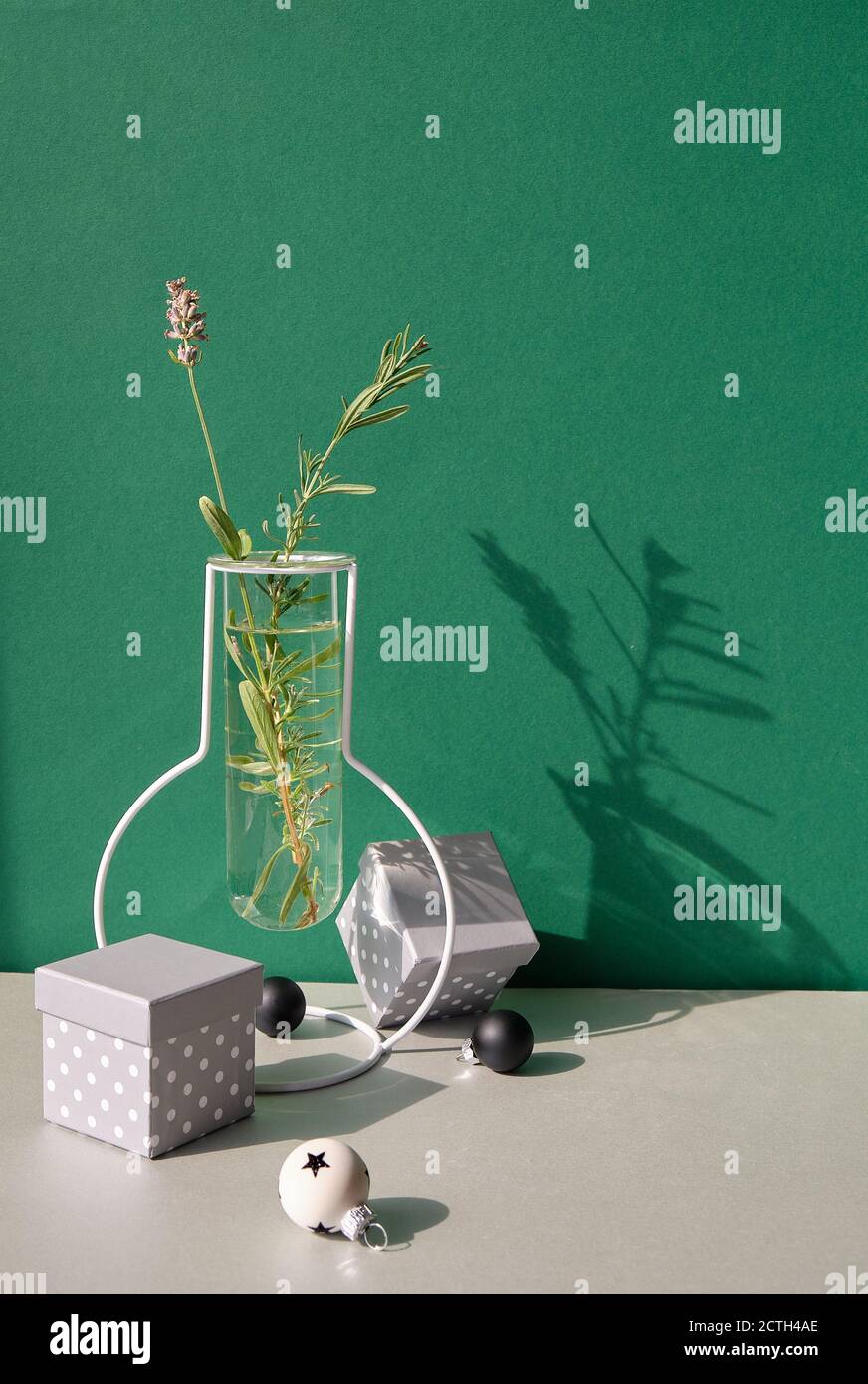 Christmas still life, minimal arrangement with winter flowers in modern ...