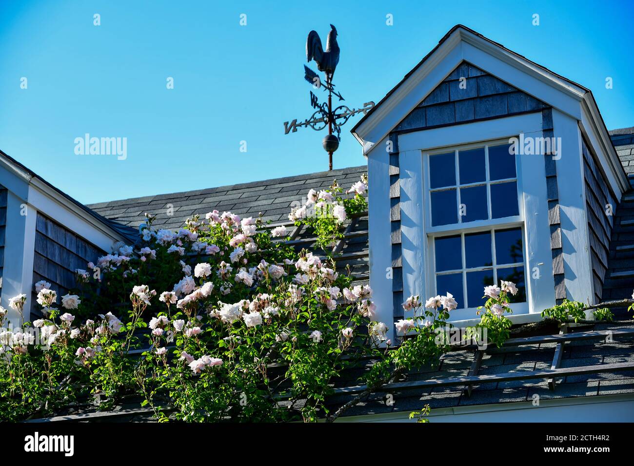 Flowers under the window of a house and a rooster wind vane on the ...