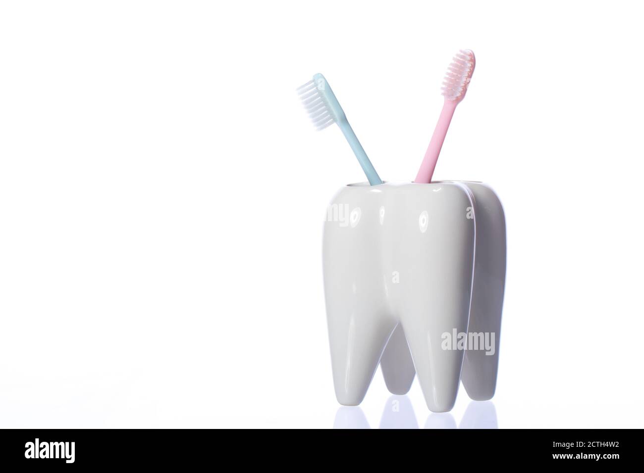 Two toothbrushes in ceramic tooth stand form isolated on white ...