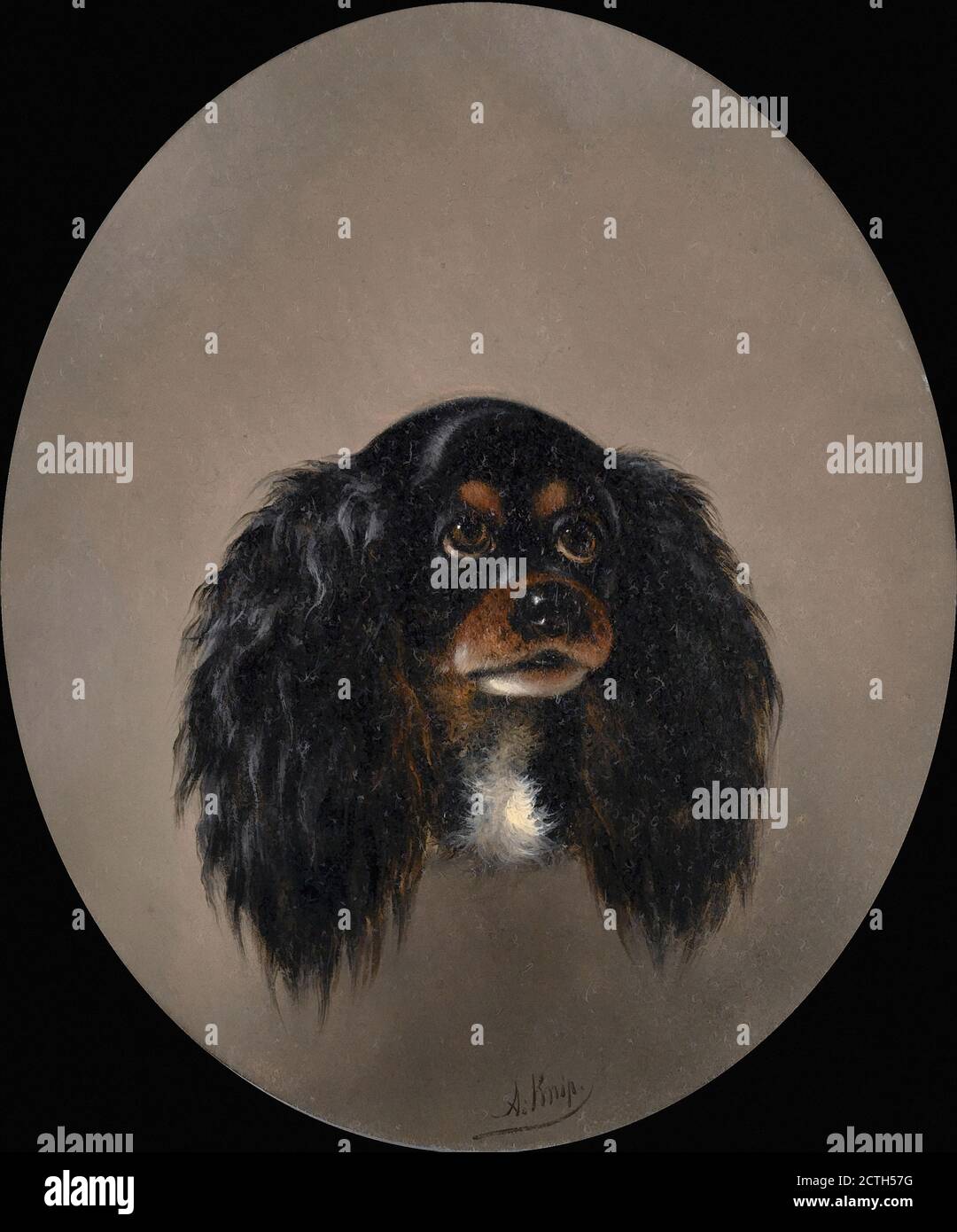 Knip Augustus - Tri Color King Charles Spaniel - Dutch School - 19th ...