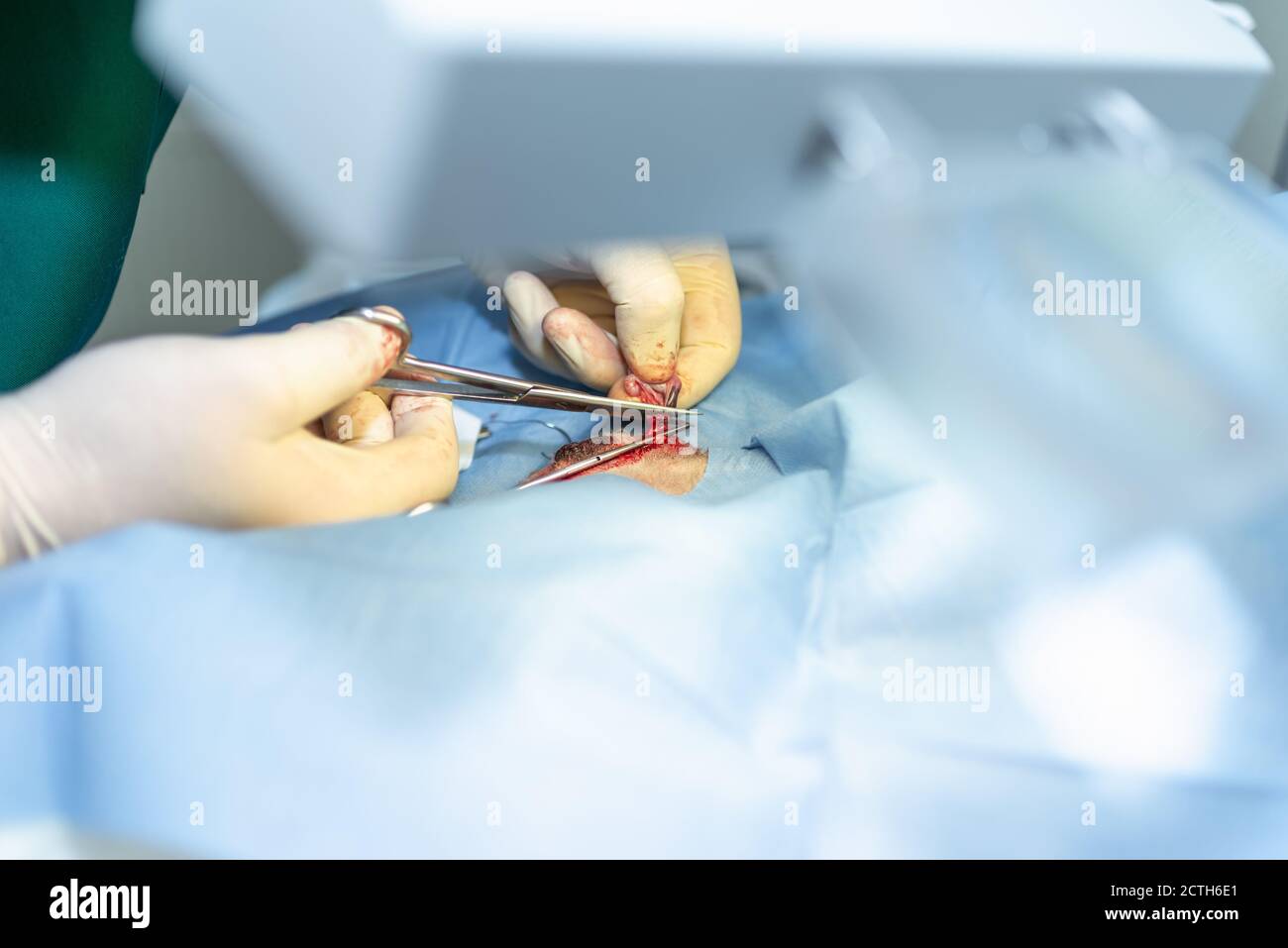 Close up Sterilization of dog on surgical tables under general ...