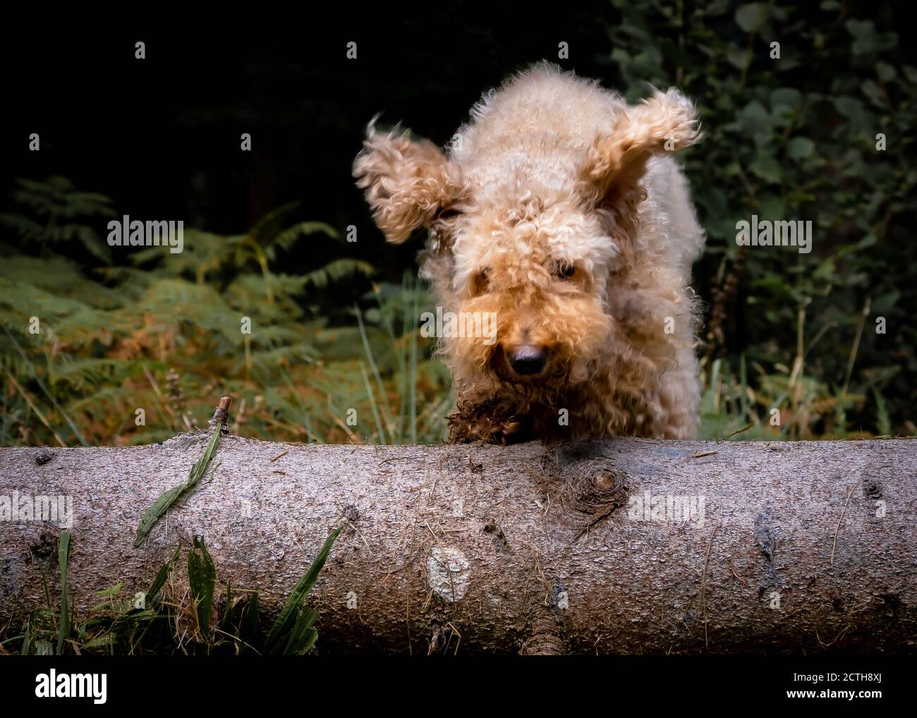 Doodle Jump High Resolution Stock Photography and Images - Alamy