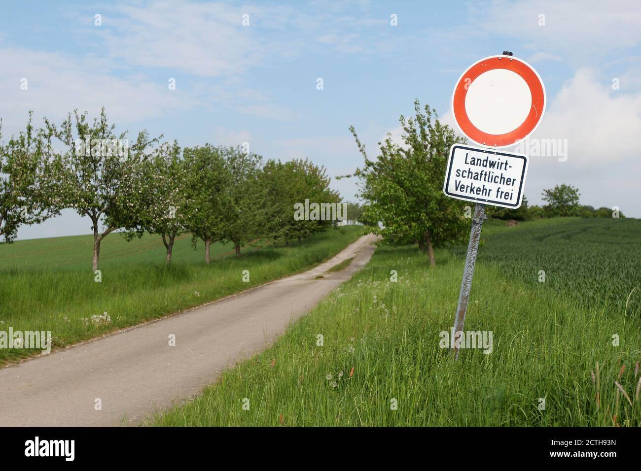 Passage forbidden sign on the road Stock Photo - Alamy