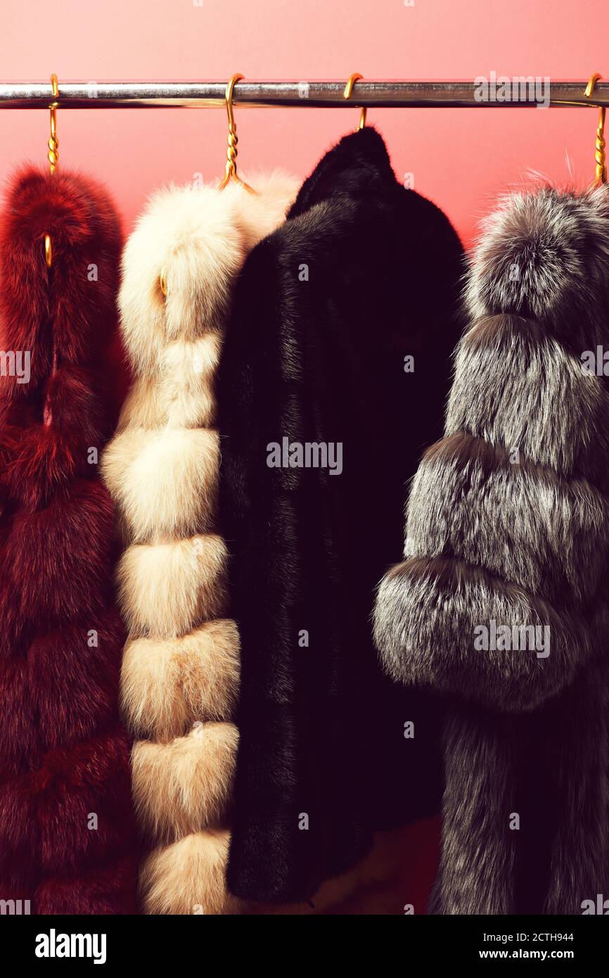 fashionable luxurious waist coats of fur hanging on rack on golden ...