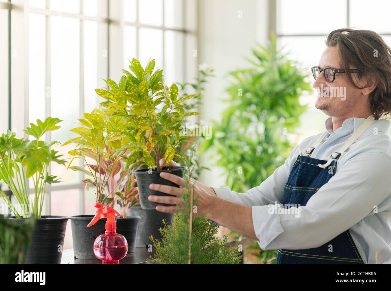 Man taking care of her potted plants at home, gardening, planting at ...
