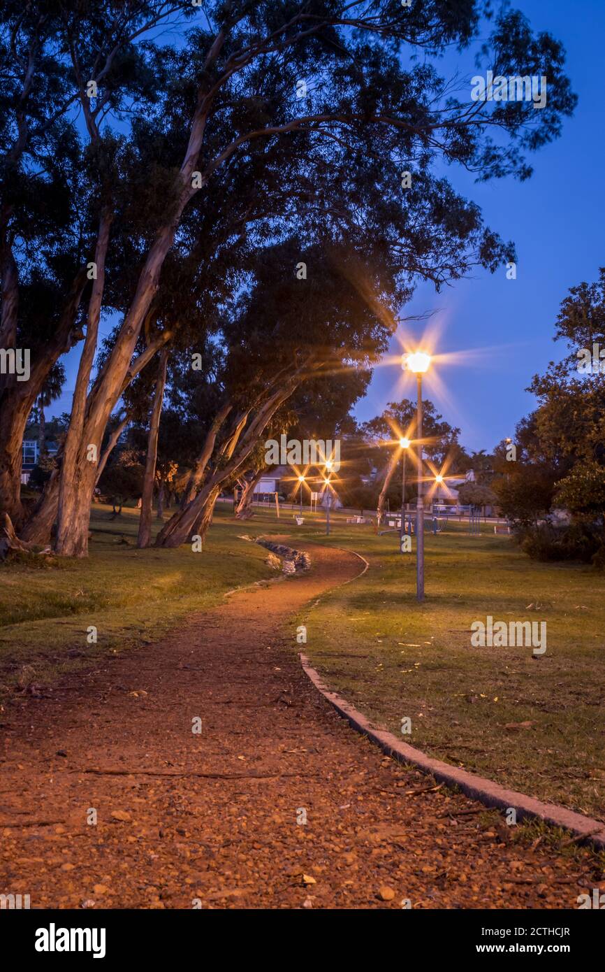 Streetlights illuminated along a winding small dirt path, running ...