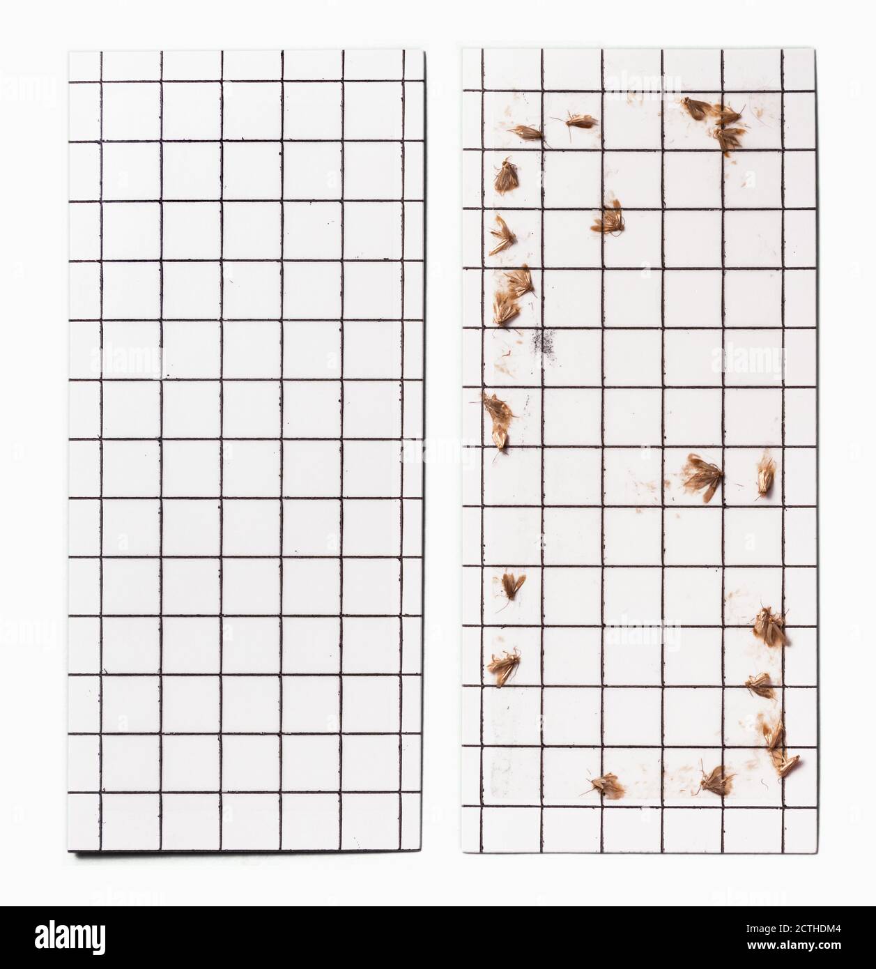 Moth control Cut Out Stock Images & Pictures - Alamy