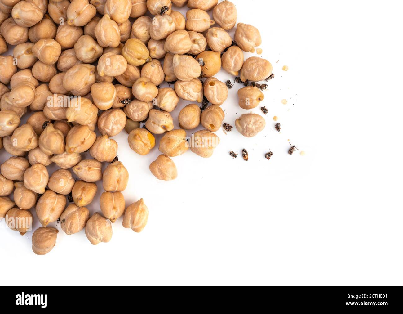 Bean Beetle High Resolution Stock Photography and Images - Alamy