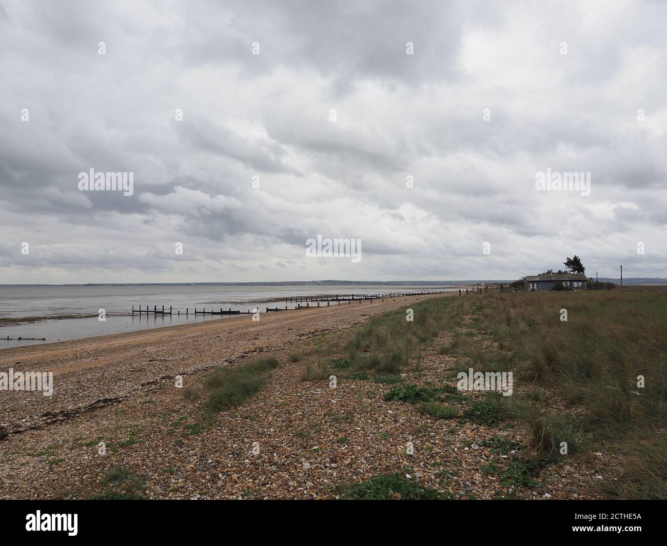 Shellness hi-res stock photography and images - Alamy