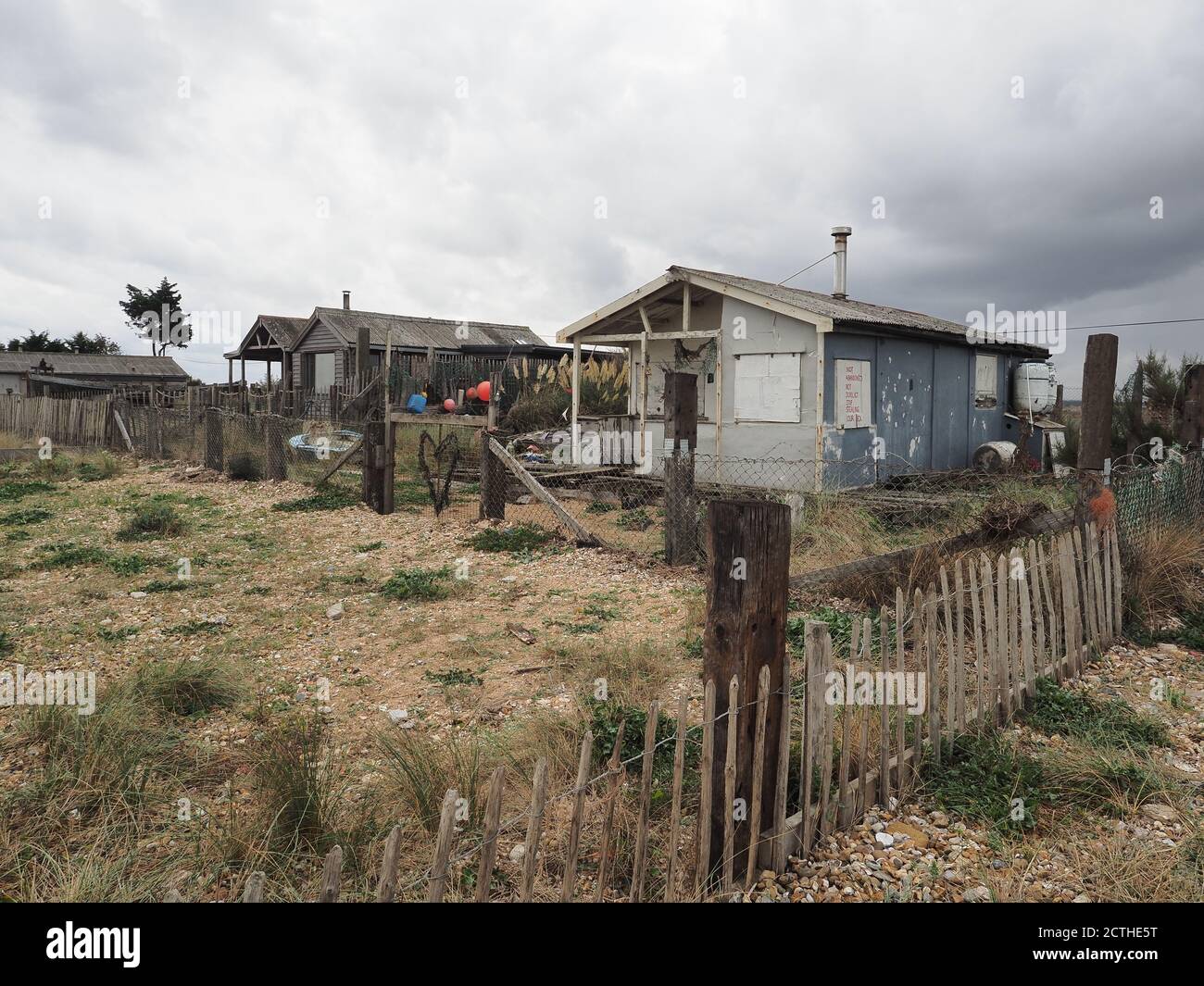 Shellness hi-res stock photography and images - Alamy